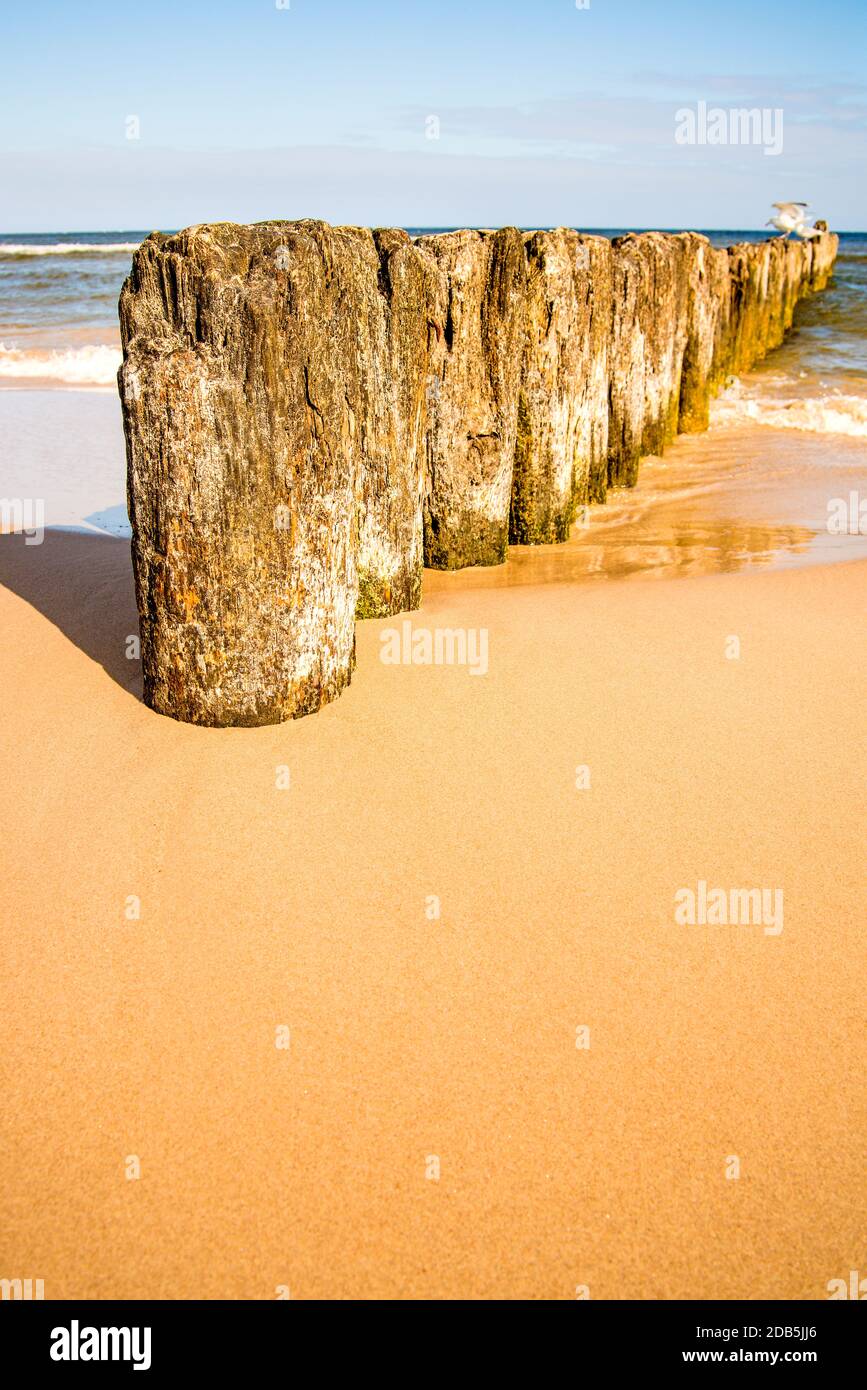 beach of Baltic Sea, Poland with groins Stock Photo - Alamy