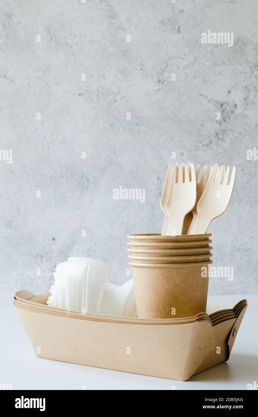 Eco-friendly biodegradable cardboard or paper dishes. Zero waste ...