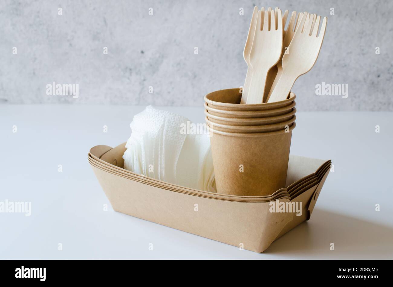 Eco-friendly biodegradable cardboard or paper dishes. Zero waste ...
