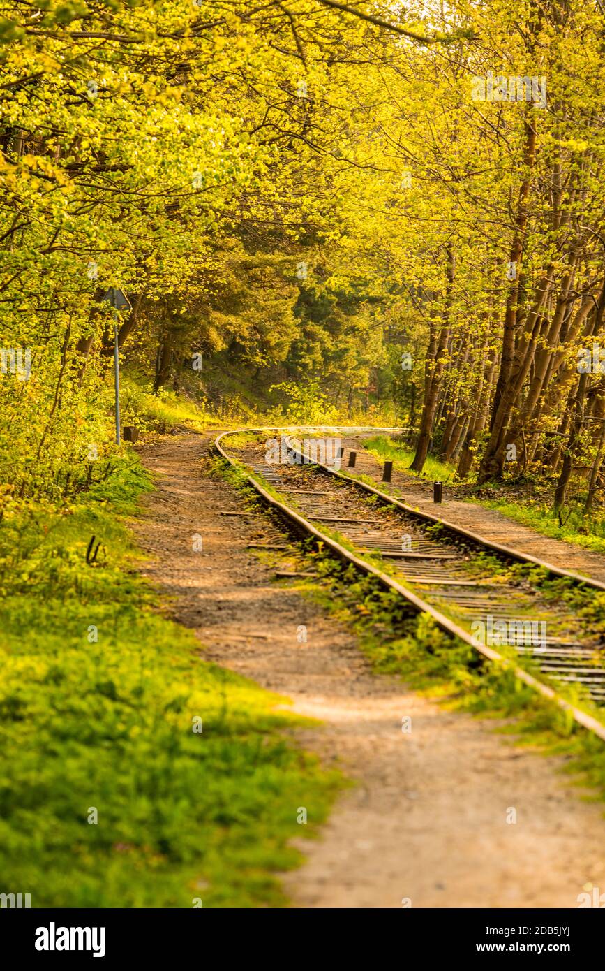 rails out of order, overgrown with green grass Stock Photo - Alamy