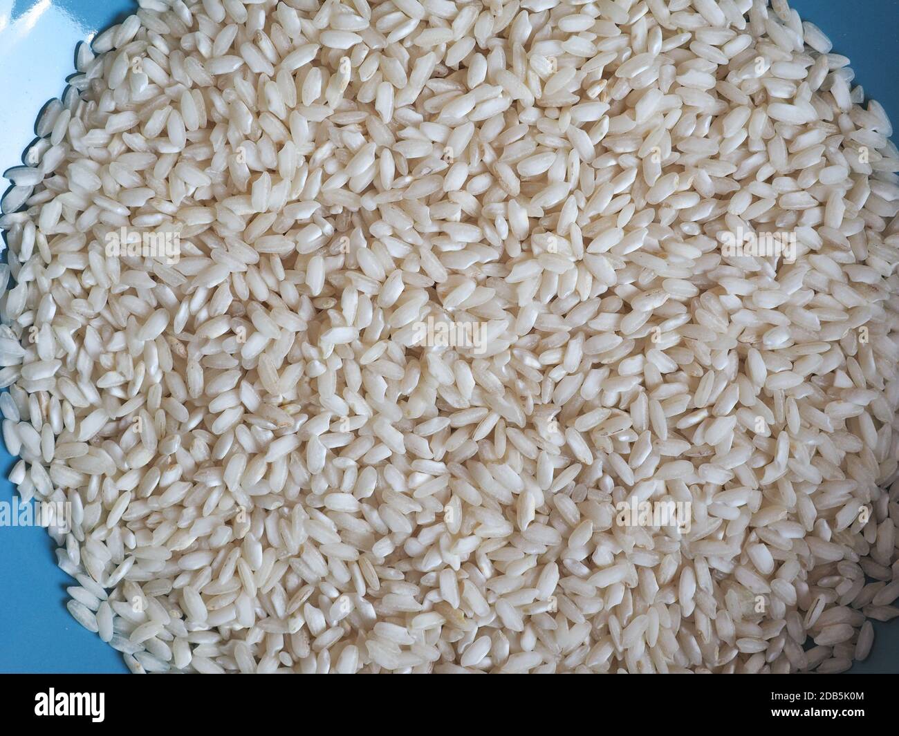 Vercelli provinces hi-res stock photography and images - Alamy