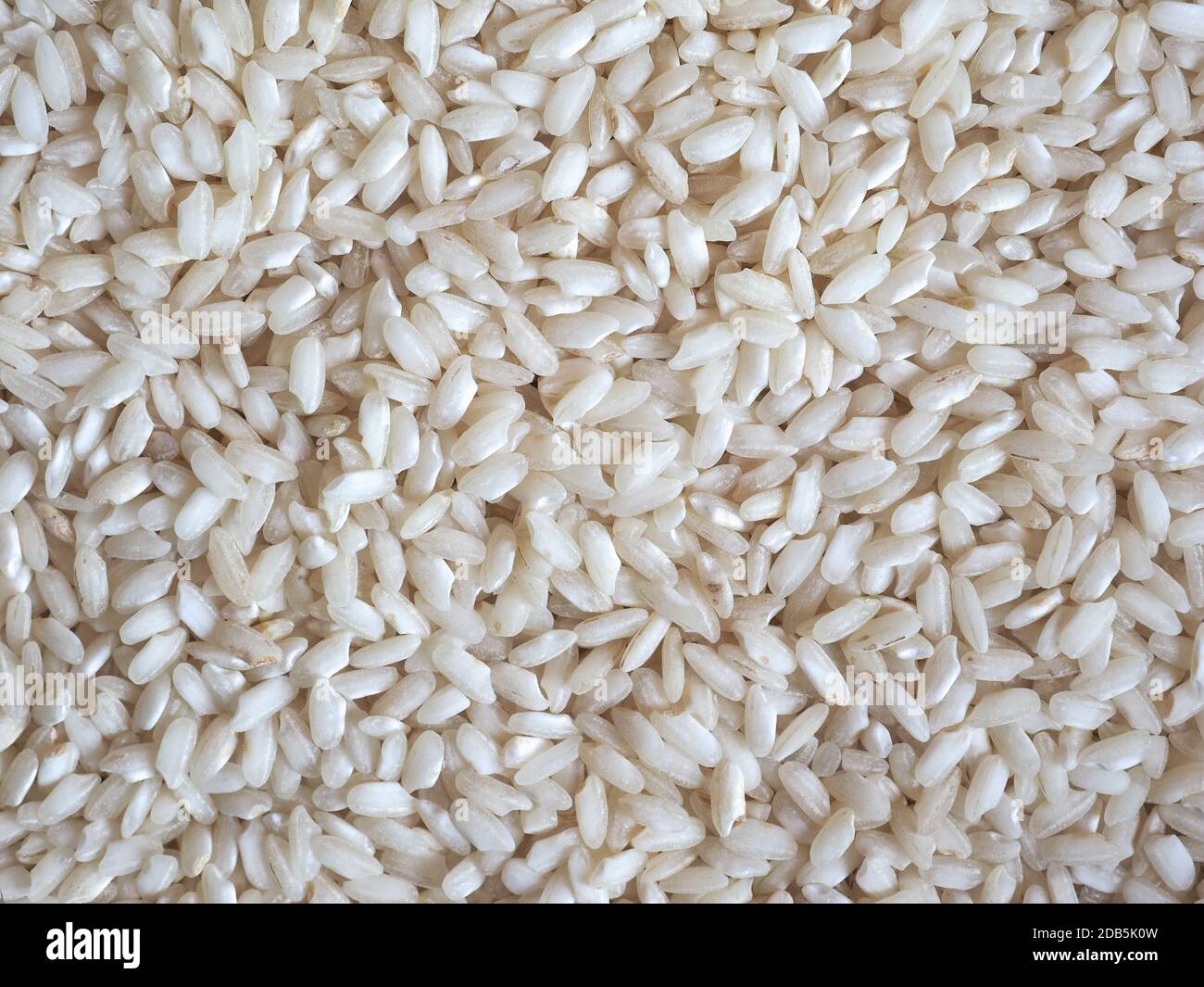 Vercelli provinces hi-res stock photography and images - Alamy