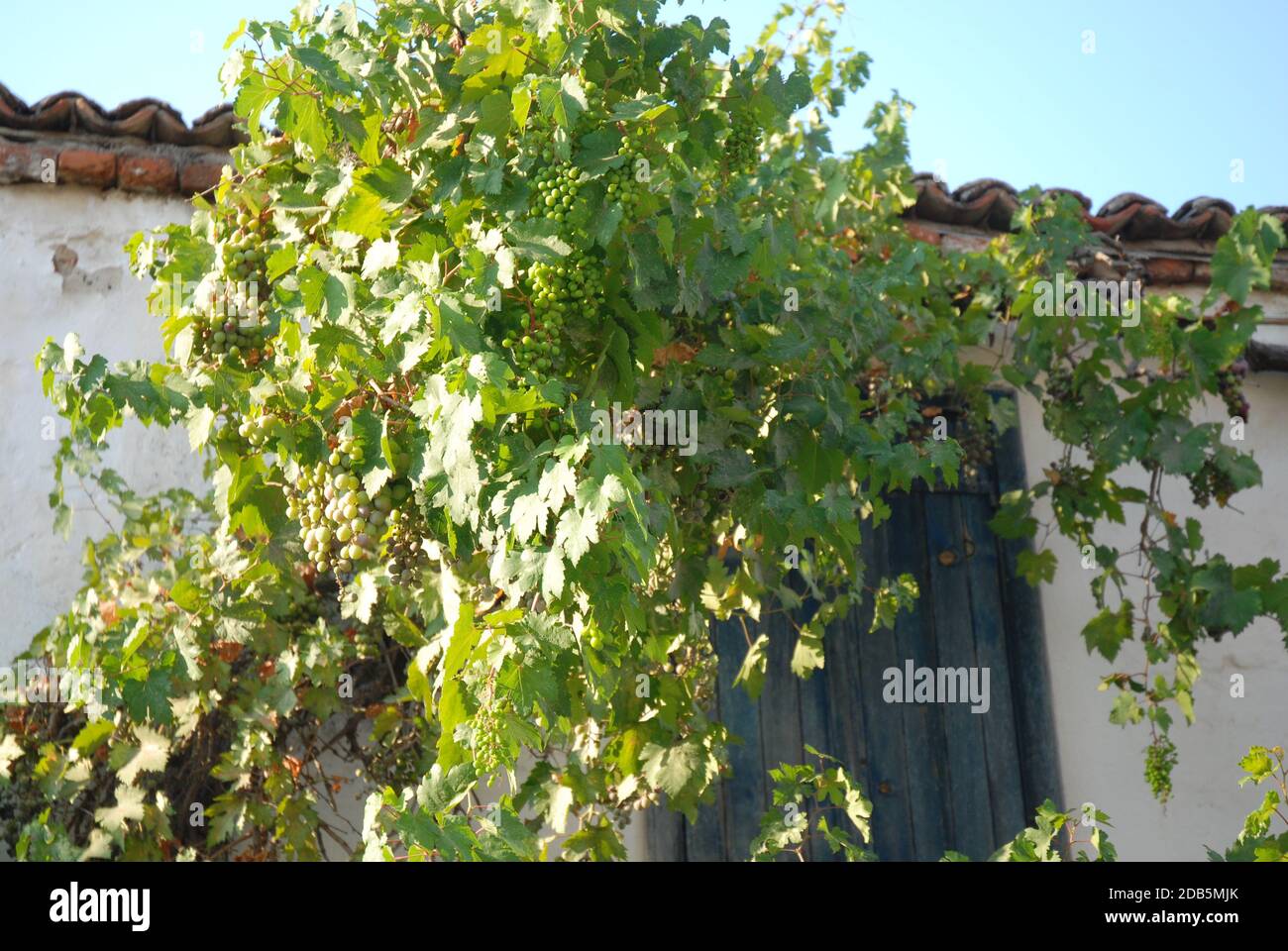 Sokak Cunda Adası Stock Photo - Alamy