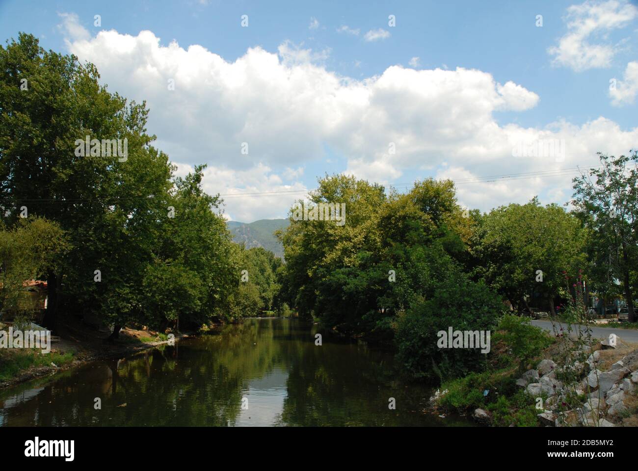 Forest River Nature Stock Photo - Alamy