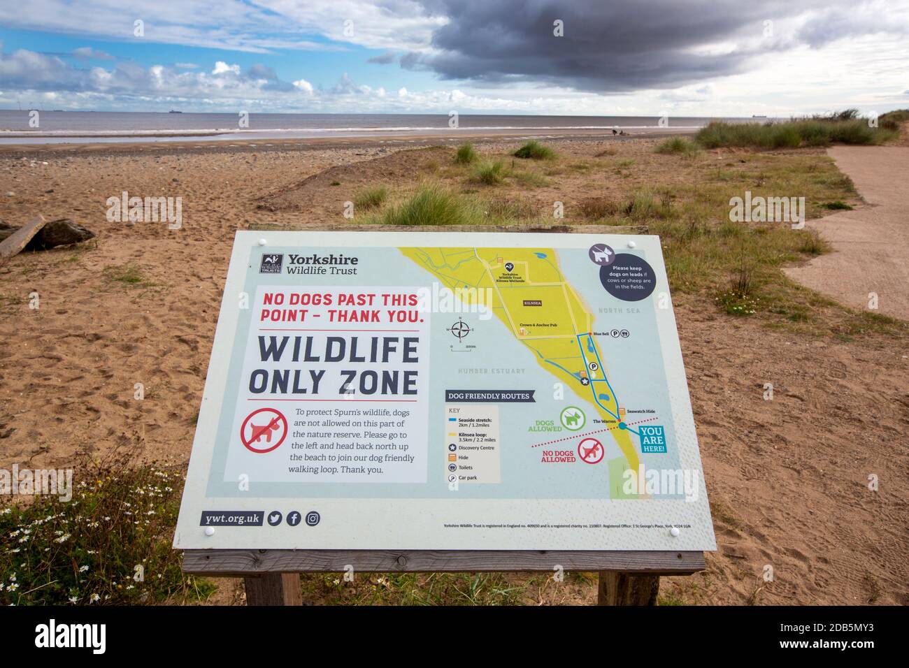 Are Dogs Allowed On Spurn Point