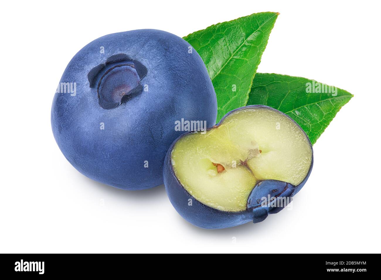 fresh blueberry and half isolated on white background closeup with ...