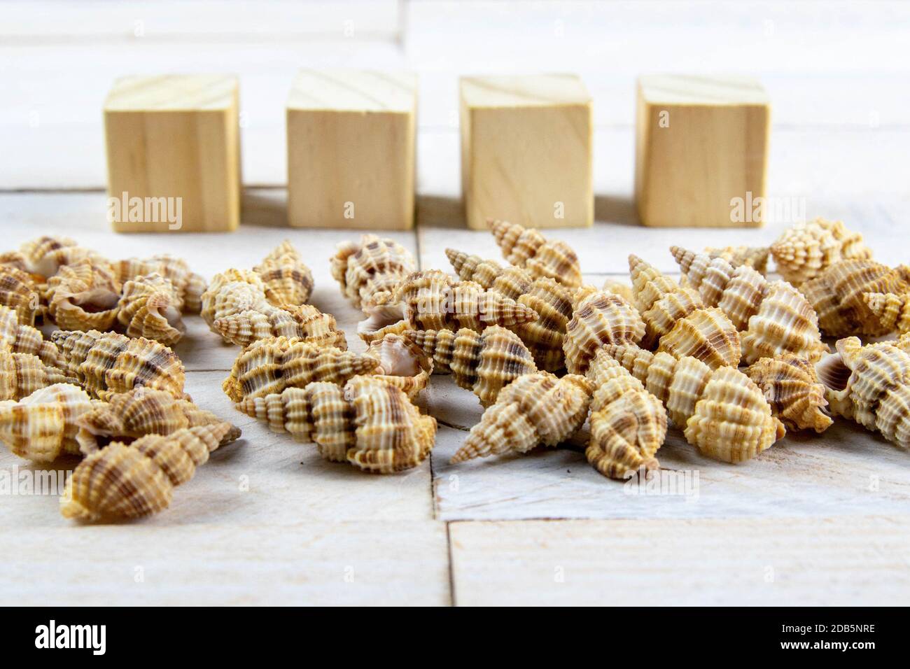 Shell-stocked in a bunch, there is room inside for a message together ...