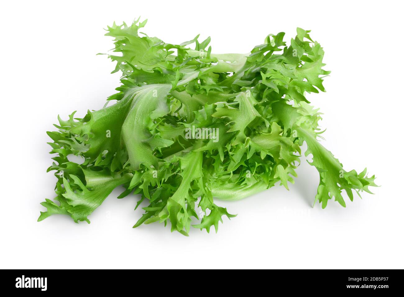 Baby leaf chicory hi-res stock photography and images - Alamy