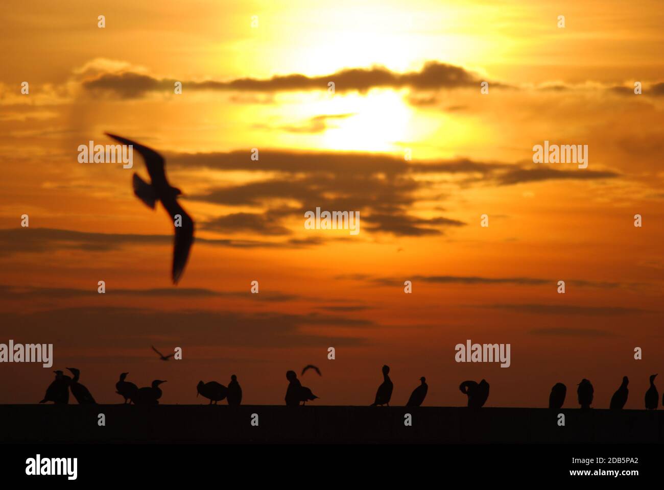 Pray for turkiye hi-res stock photography and images - Alamy