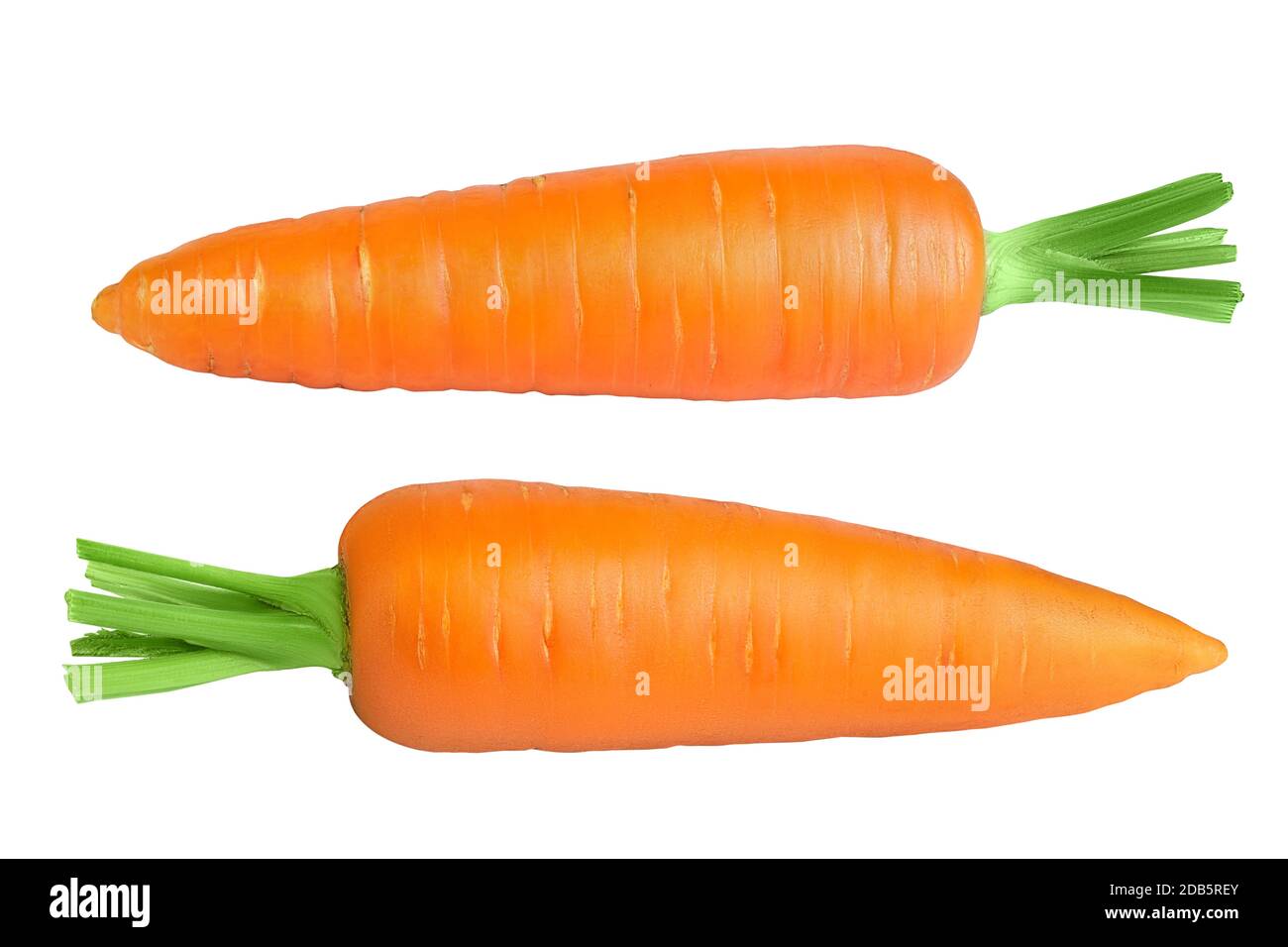 Carrot isolated on white background with clipping path and full depth ...