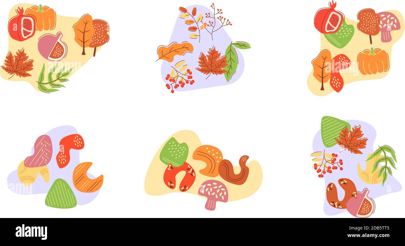 Foraging vegetables and mushrooms in autumn flat vector concept ...