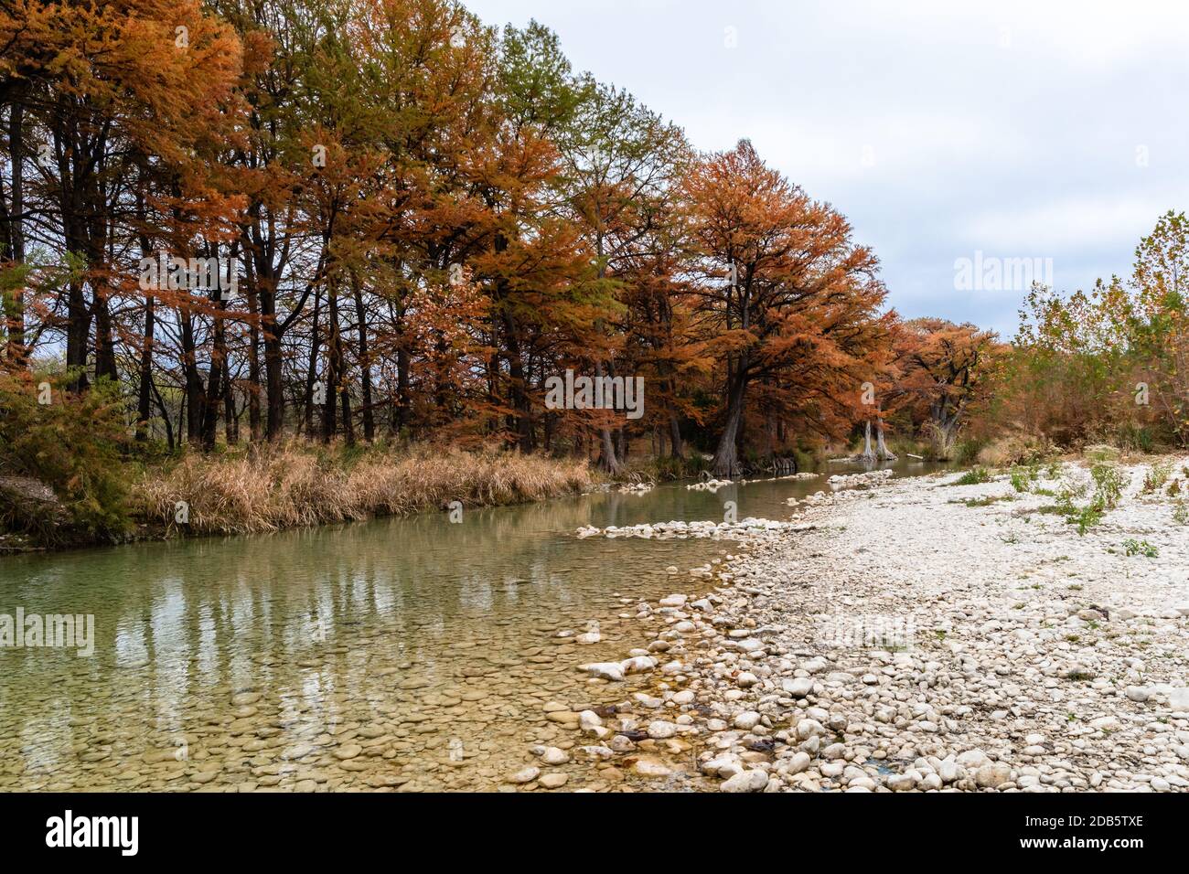 Fall colors in the Texas Hill Country Stock Photo - Alamy