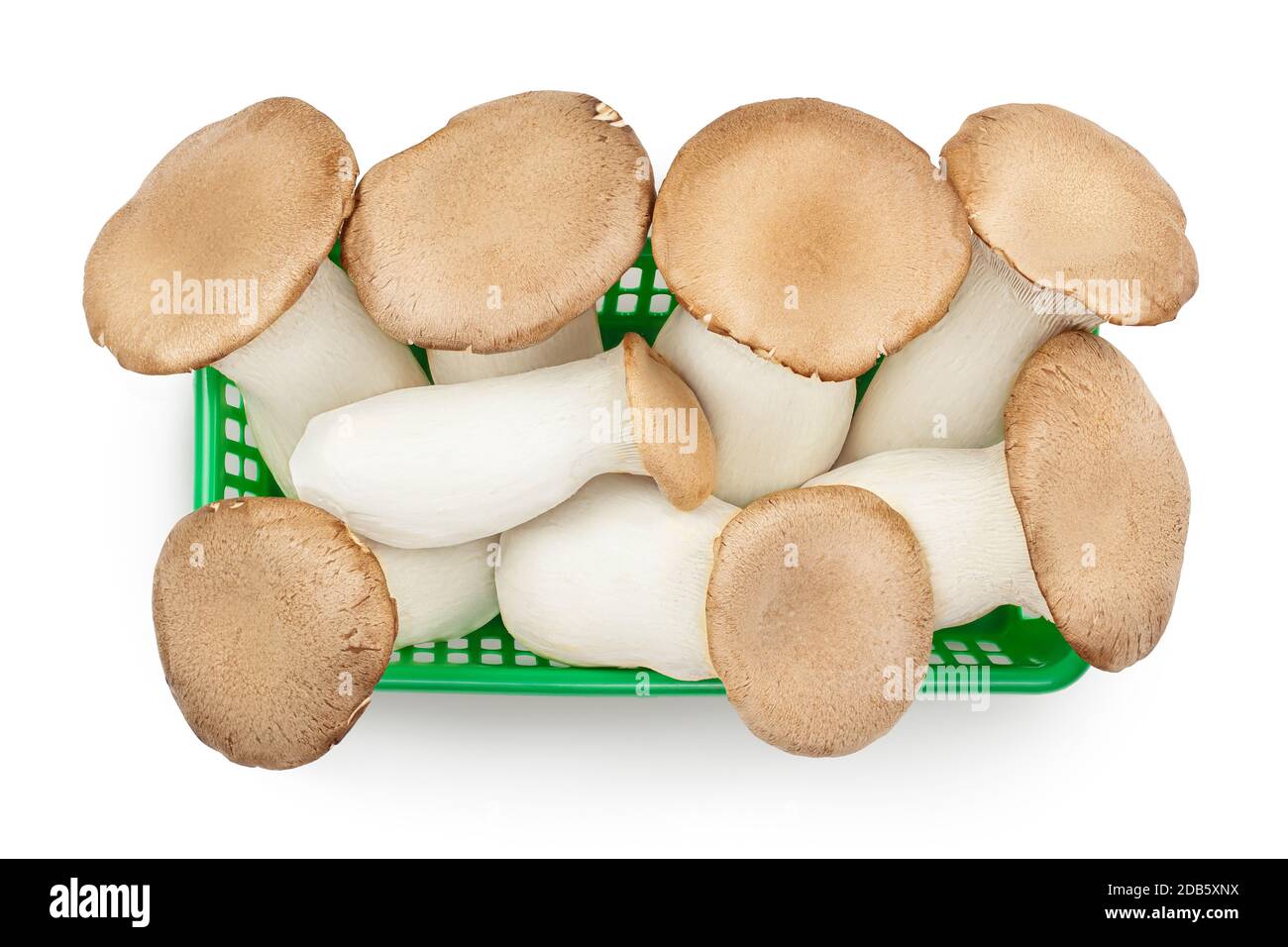 King Oyster mushroom or Eringi in plastic basket isolated on white ...