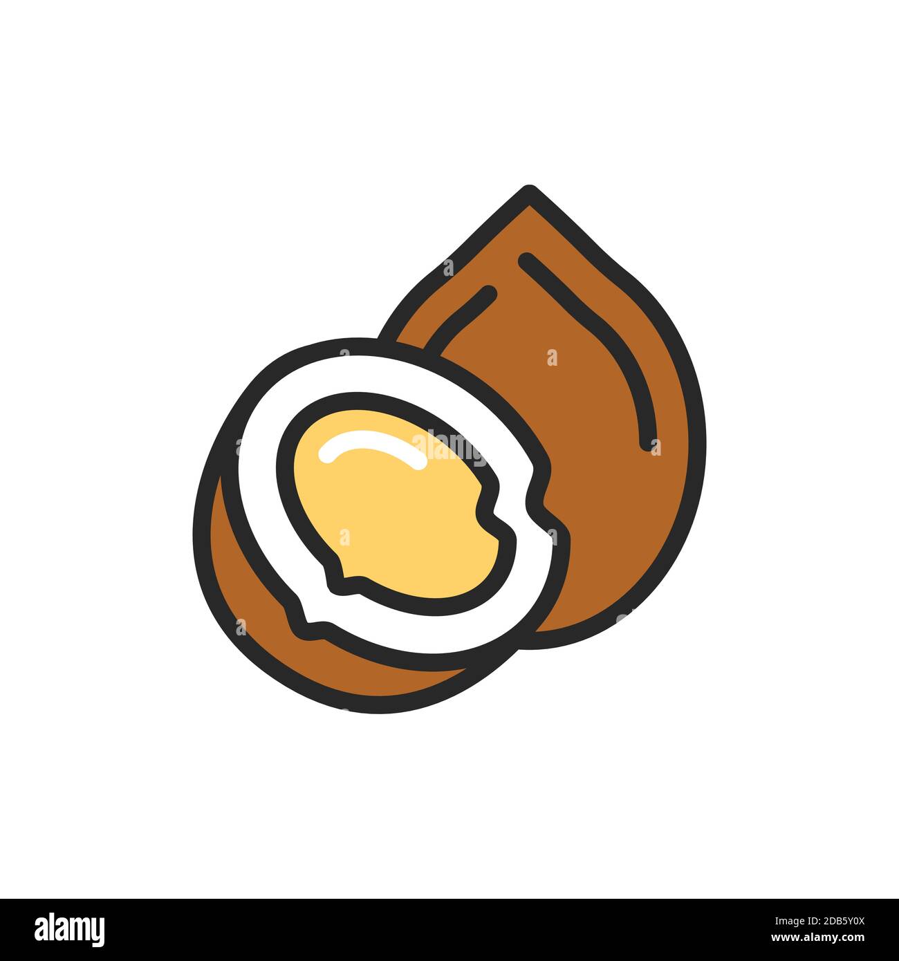 Coconut Color Line Icon Isolated Vector Element Outline Pictogram For Web Page Mobile App