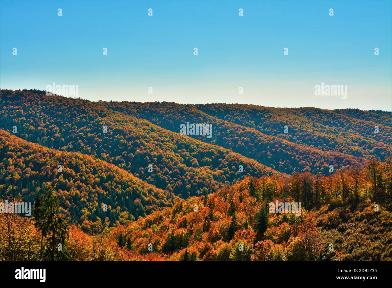 A horizontal shot of scenic hills and trees with colorful autumn ...