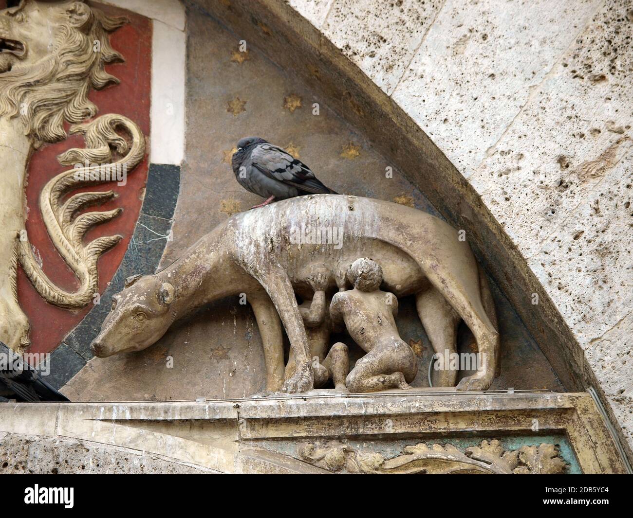 Siena - the town's emblem; a she-wolf suckling the infants Romulus and ...