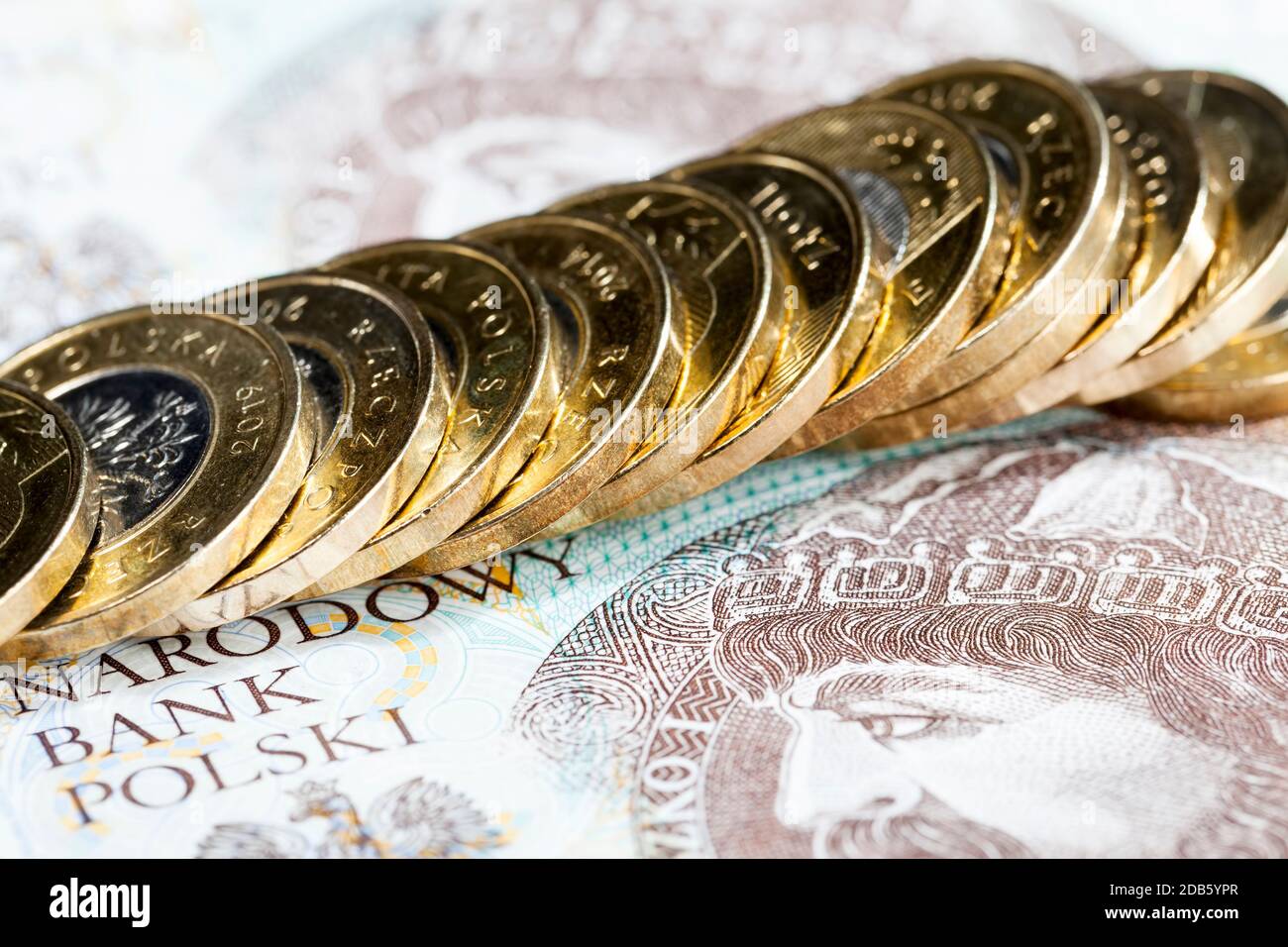different Polish money in cash in the form of banknotes and coins ...