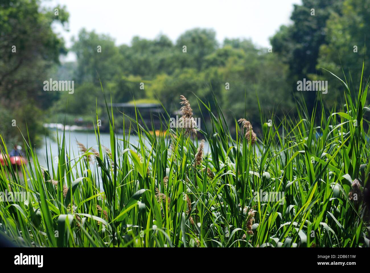 Nehir hi-res stock photography and images - Alamy