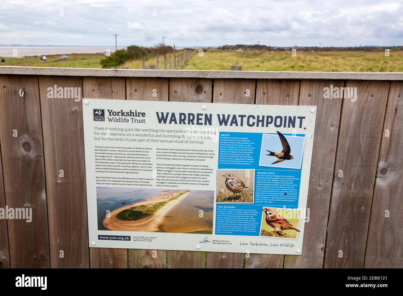 The famous Warren watchpoint used for watching birds migrating at Spurn ...