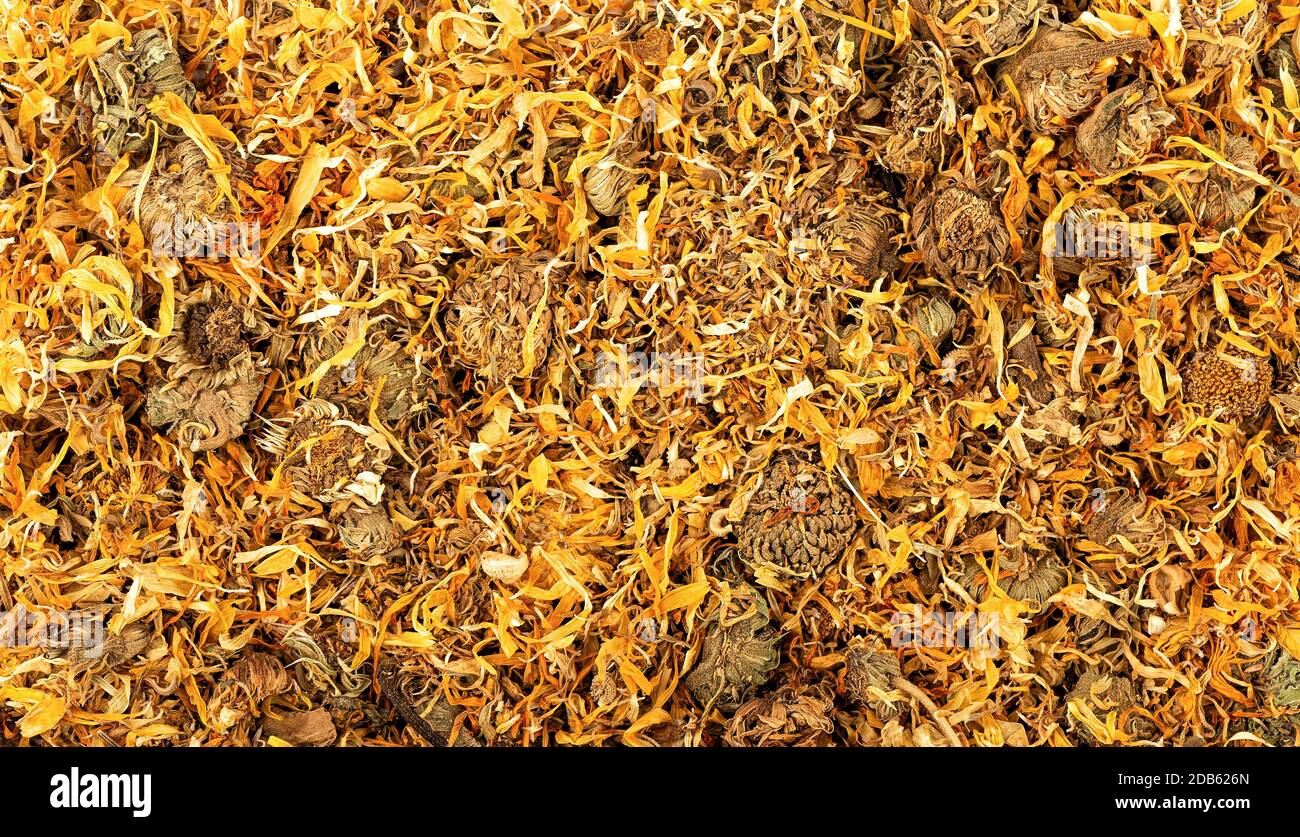 Full frame of Calendula officinalis or Marigold dry tea flowers Stock ...