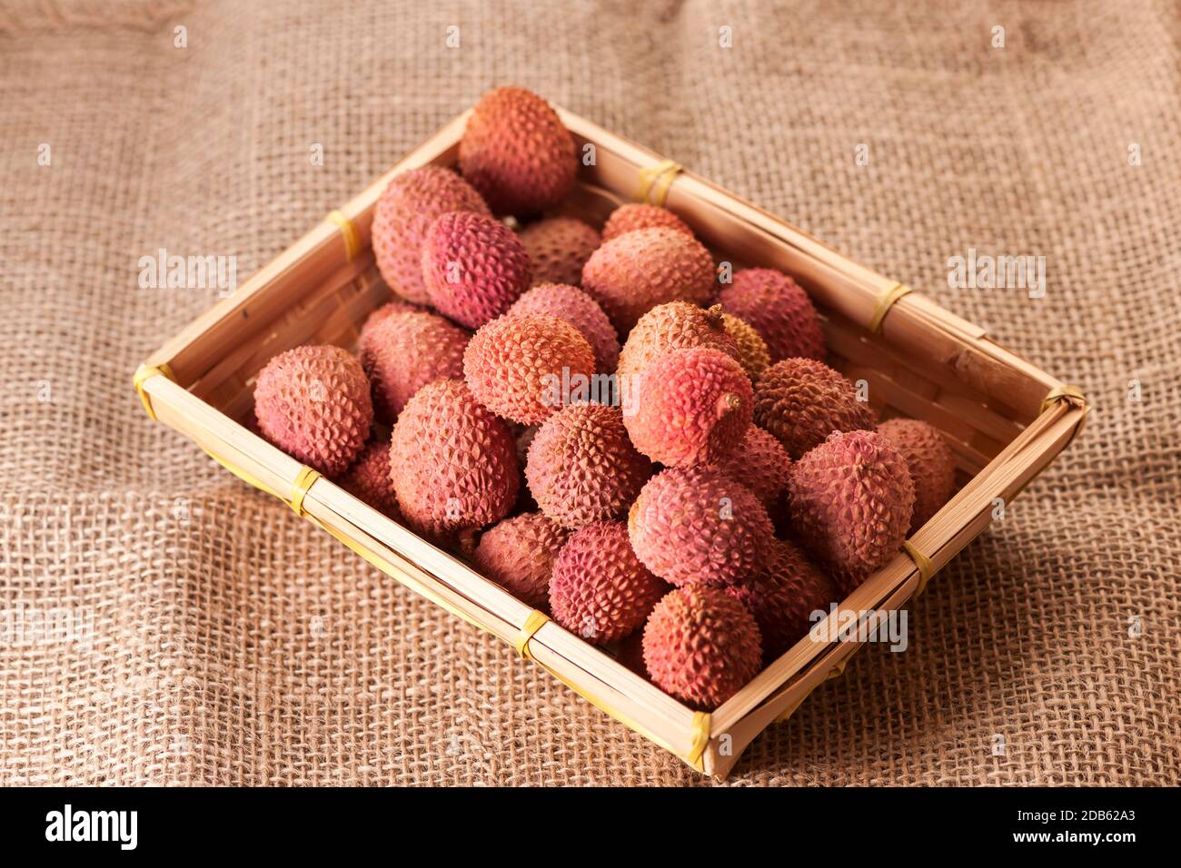 Studio shot with fruits (Lichi) of the lychee tree (Litchi chinensis ...