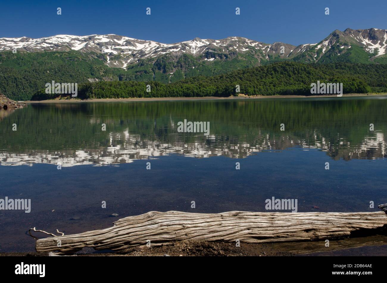 Cliffs and forest reflected on the Conguillio lake. Conguillio National ...