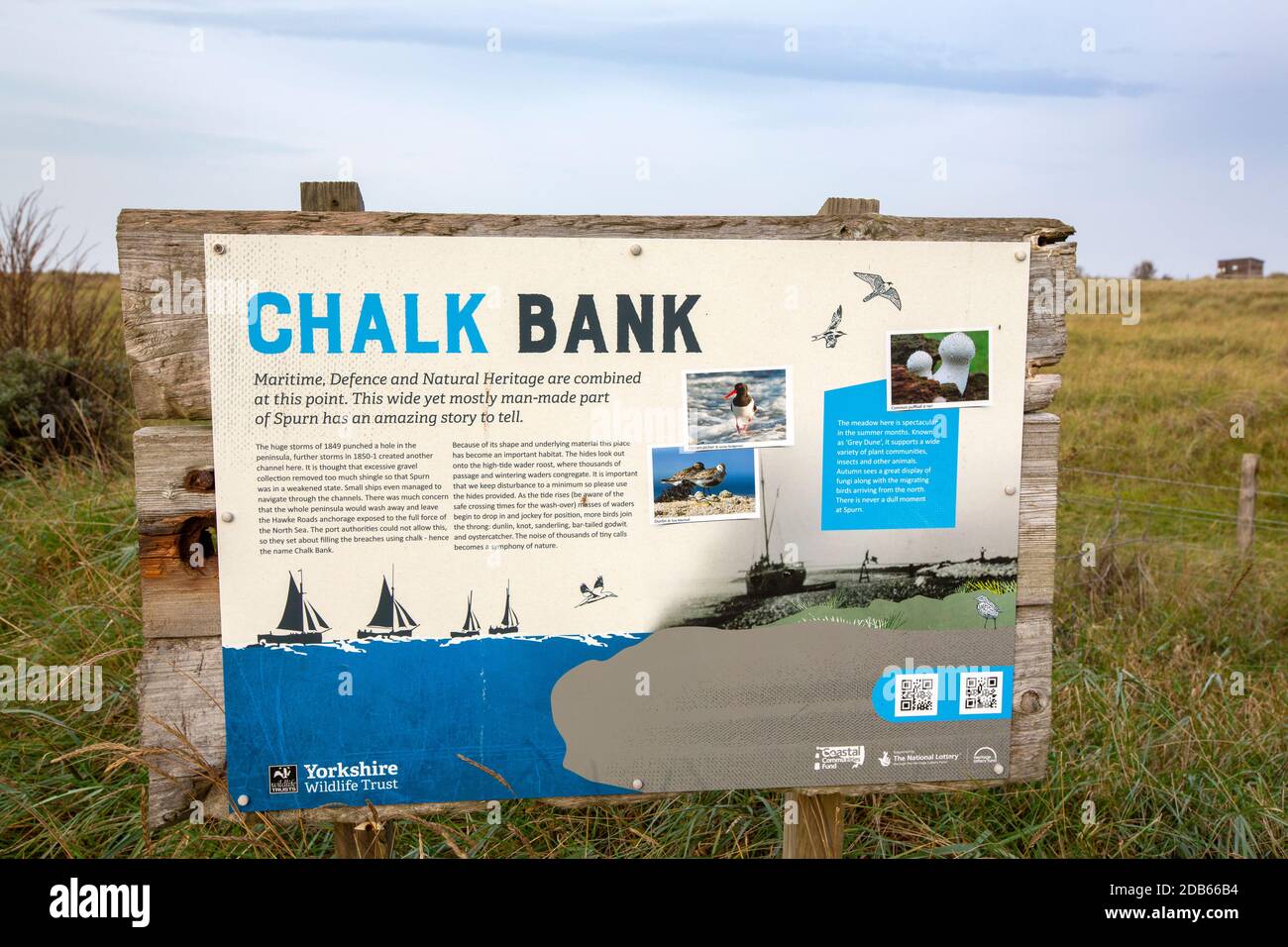 Chalk Bank on Spurn Point National Nature Reserve, Yorkshire, UK Stock ...