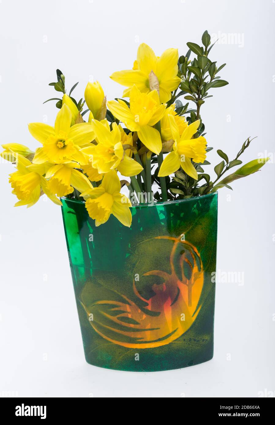 Yellow jonquil flowers isolated on white background Stock Photo - Alamy