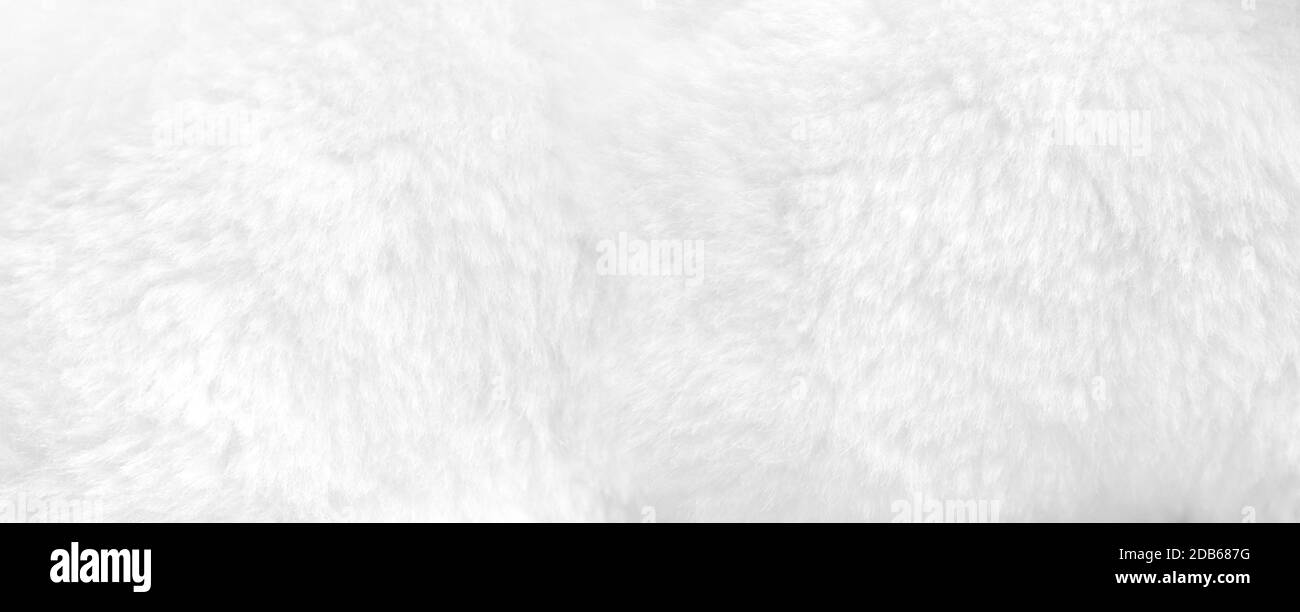 Clean white fur background close up view. Banner Stock Photo - Alamy