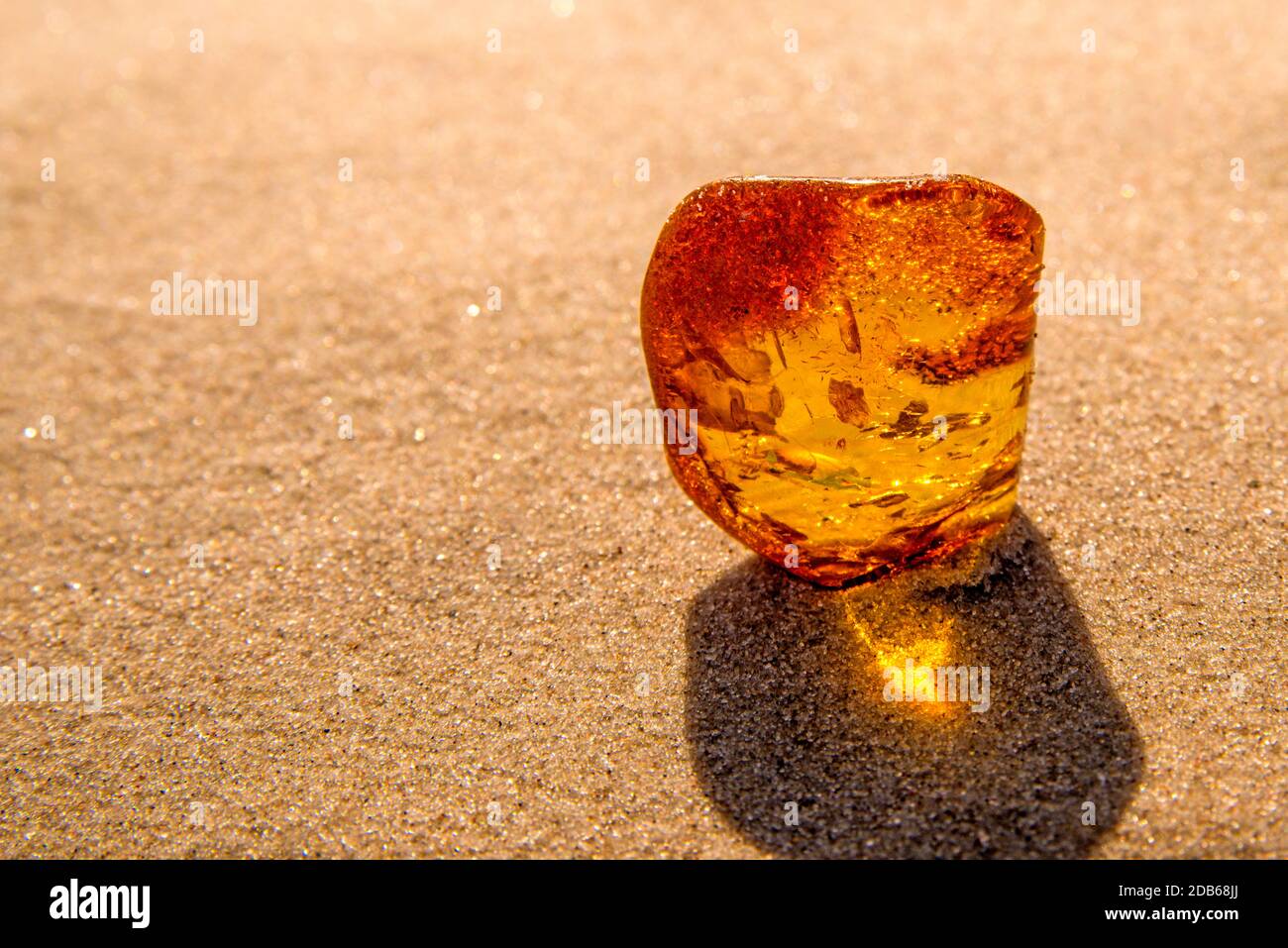amber on a beach of the Baltic sea Stock Photo - Alamy