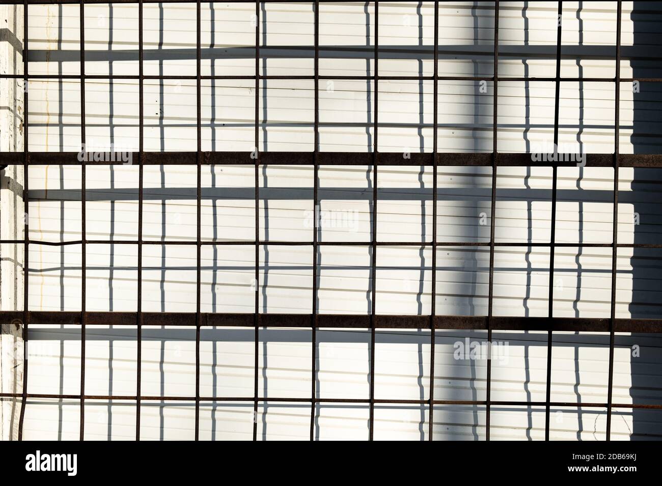 Window matting store