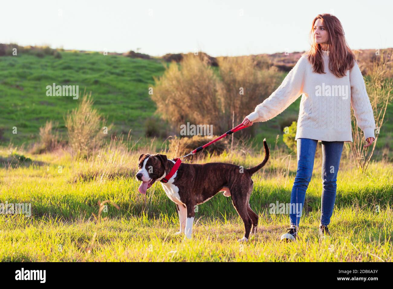 Red Tank Top Girl Walking Dogs