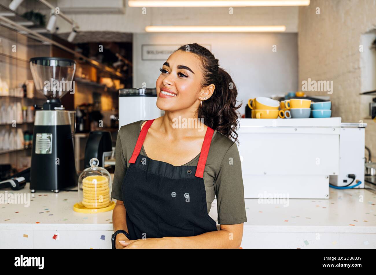 Beautiful smiling waitress standing at counter in coffee shop and ...