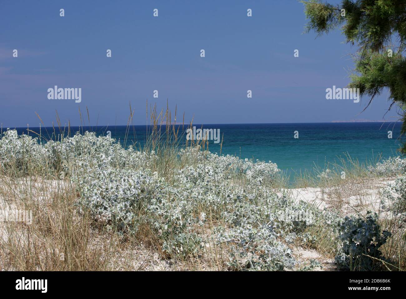 Mastichari beach on Kos Island, Dodecanese Stock Photo - Alamy