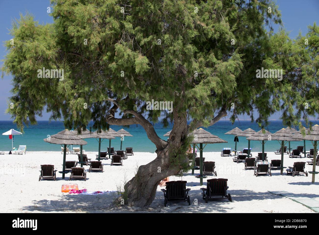 Mastichari beach on Kos Island, Dodecanese Stock Photo - Alamy