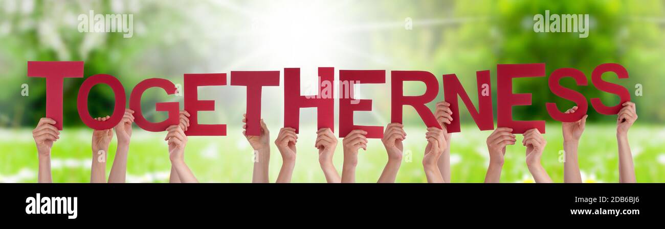 People Hands Holding Colorful English Word Togetherness. Sunny Green ...