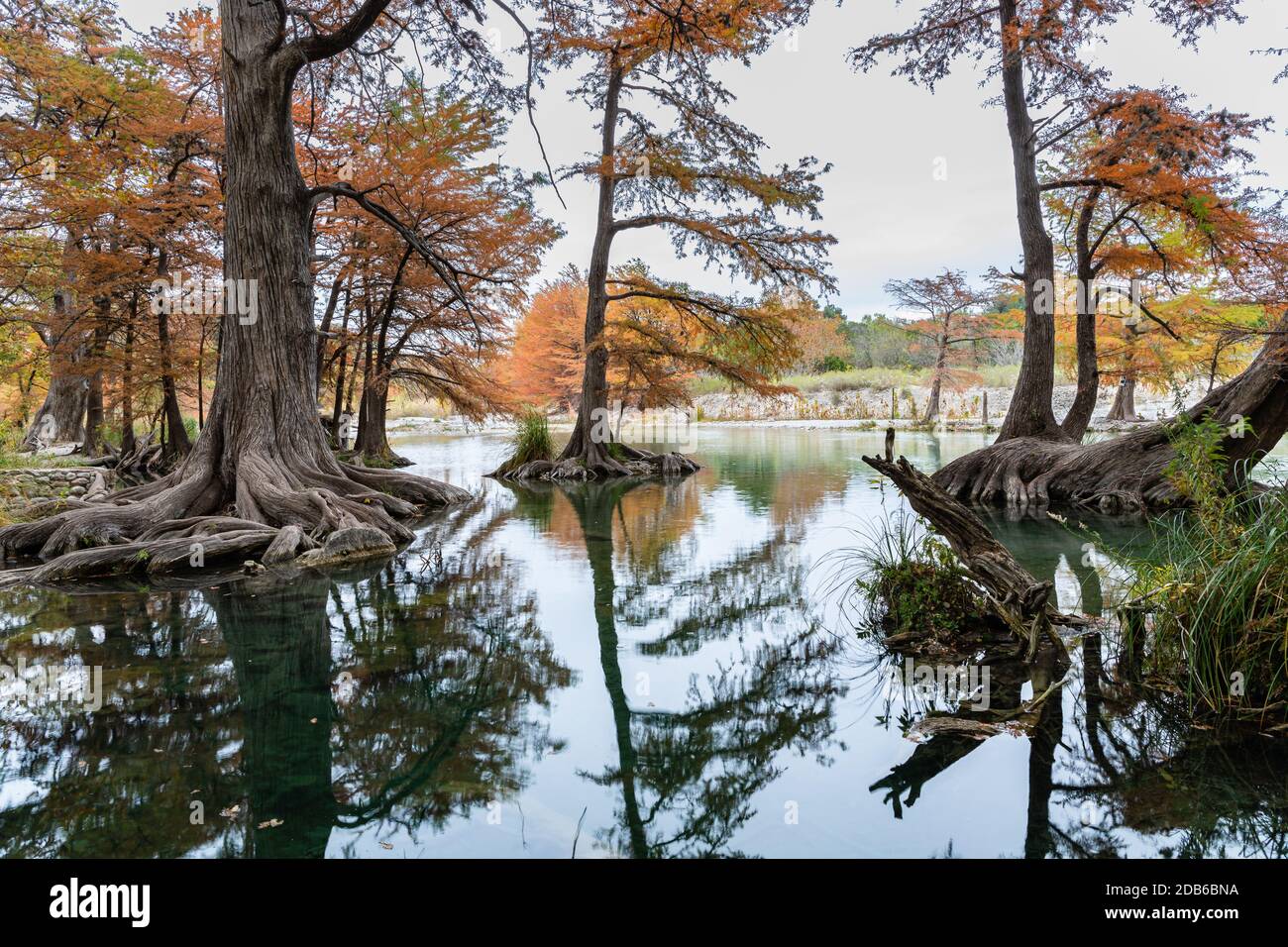 Fall colors in the Texas Hill Country Stock Photo - Alamy
