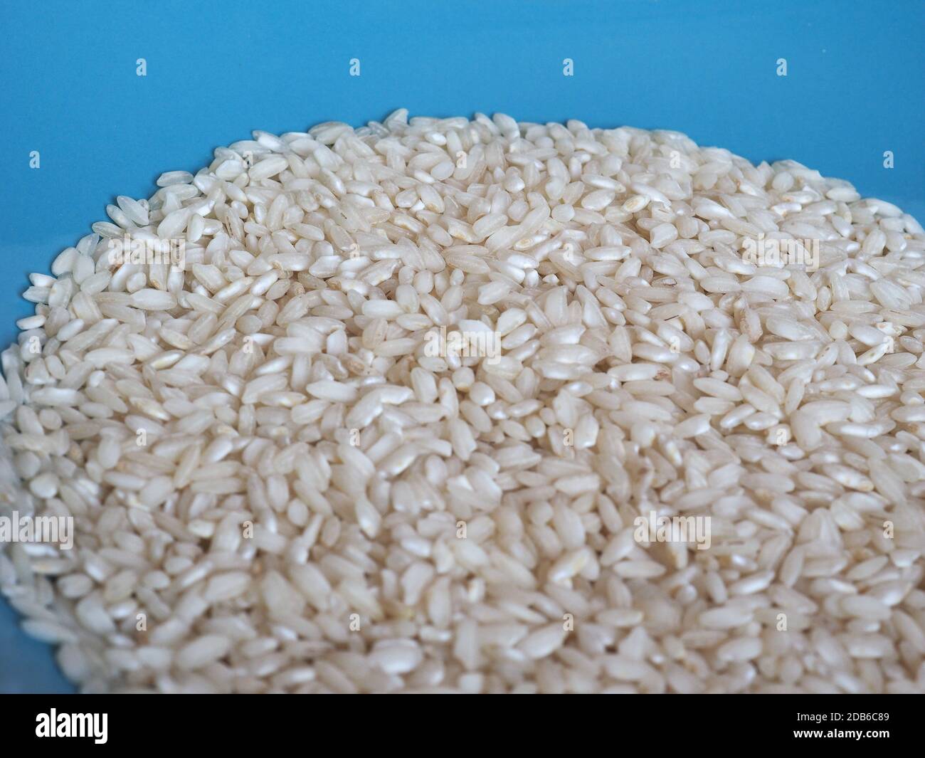 How is rice grown hi-res stock photography and images - Alamy