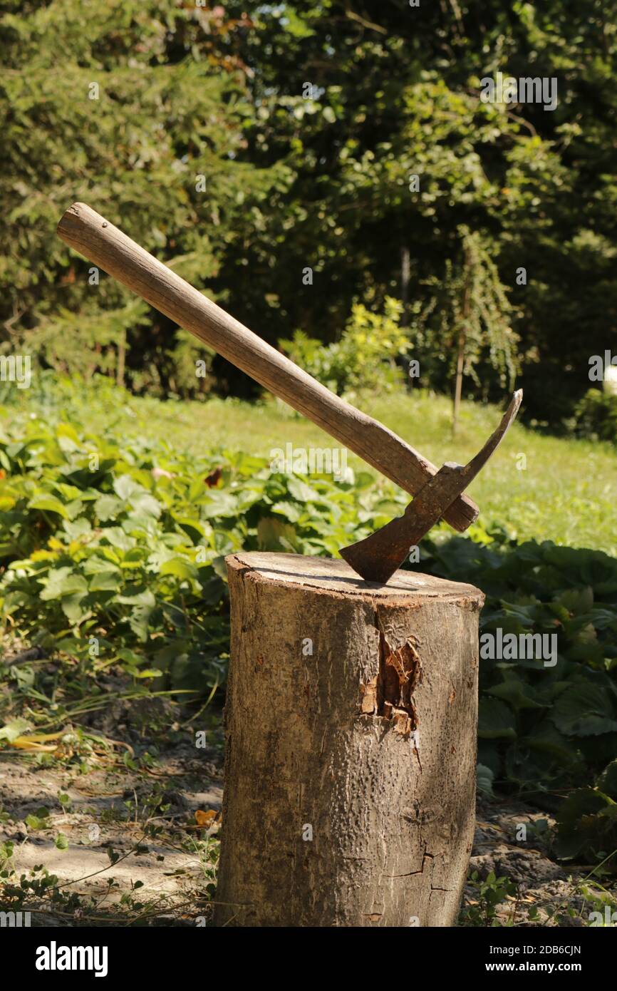 Blade day decor decorative garden grass green hatchet landscape metal ...