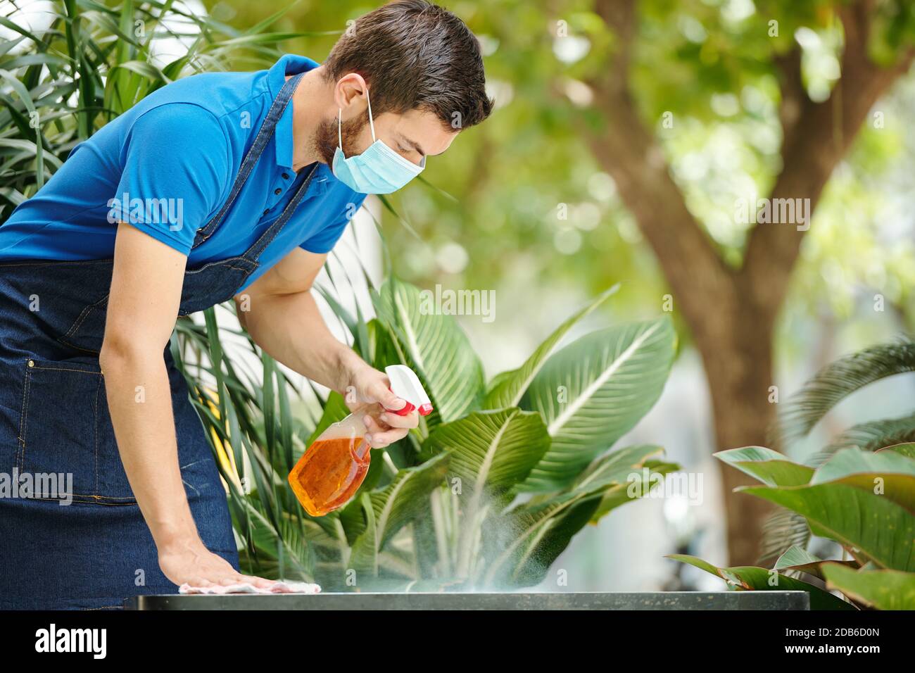Person cleaning tables hi-res stock photography and images - Alamy