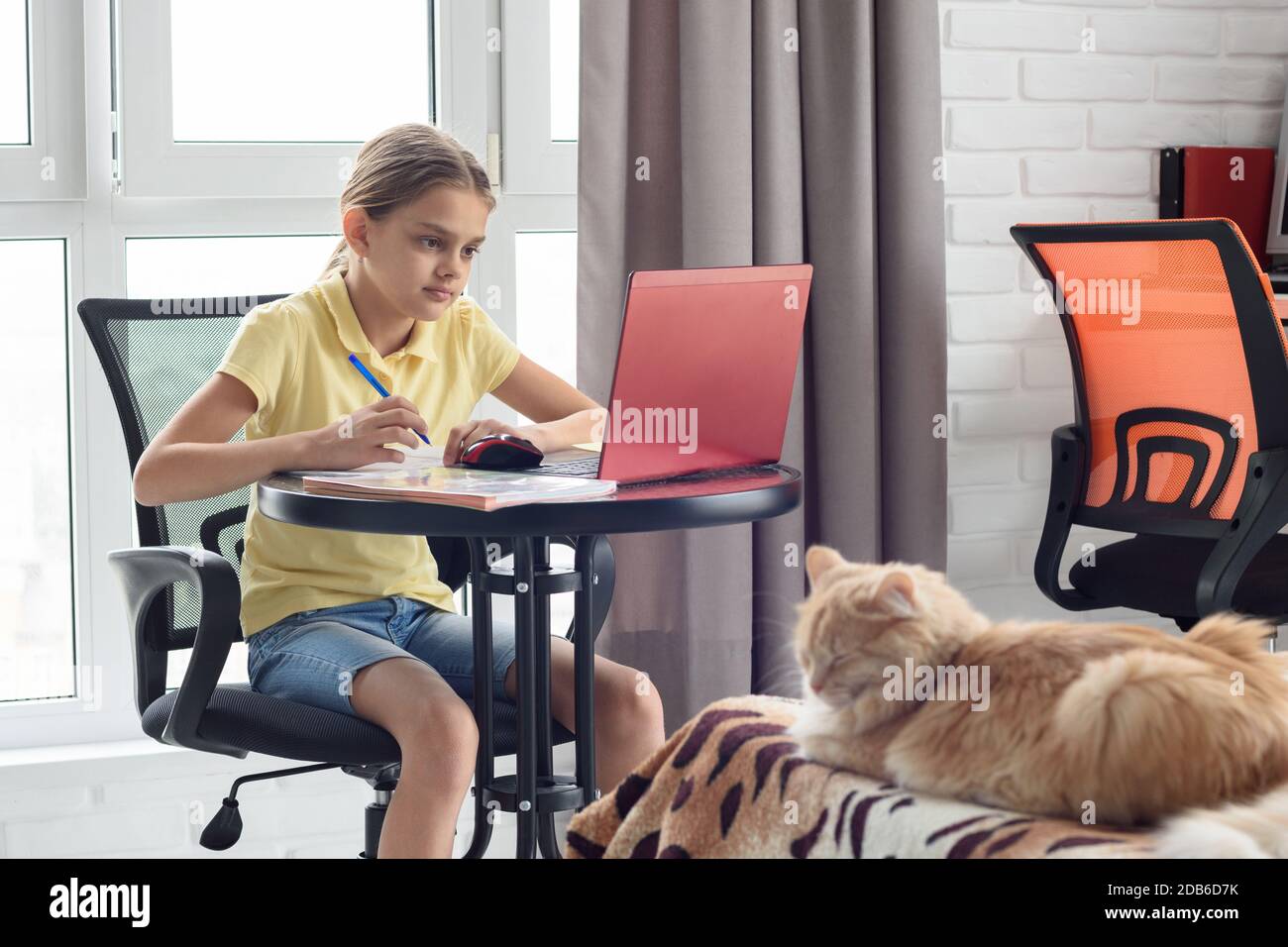 Girl watching a school lesson online, in quarantine at home Stock Photo ...
