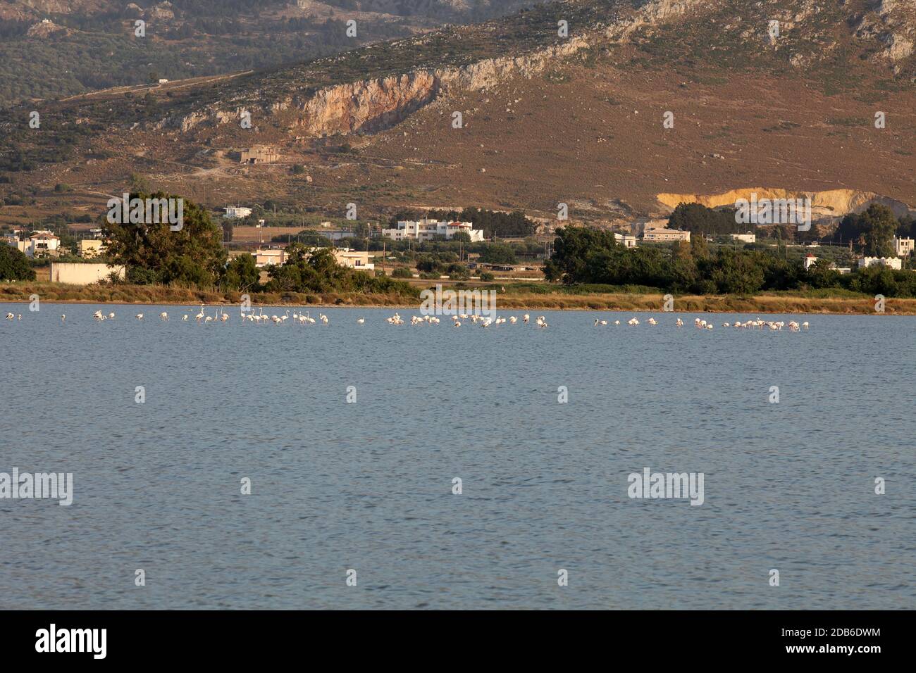 picturesque lake in Tigaki . Kos Island, Greece Stock Photo - Alamy