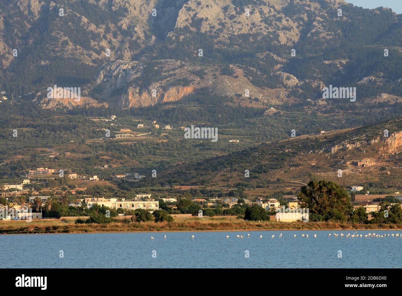 picturesque lake in Tigaki . Kos Island, Greece Stock Photo - Alamy