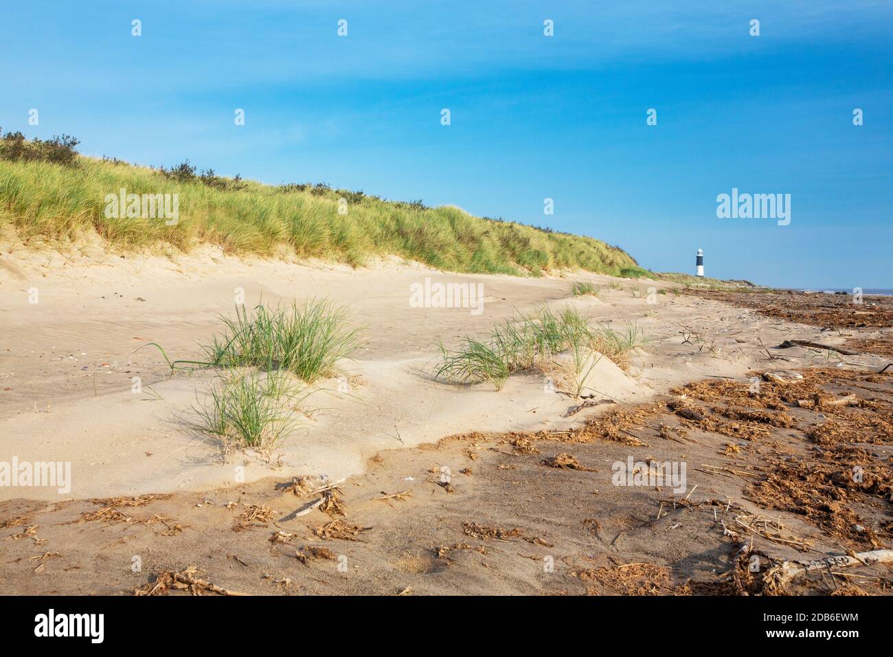 Spurn Point, Nature reserve, on the Humber estuary, Yorkshire, UK Stock ...