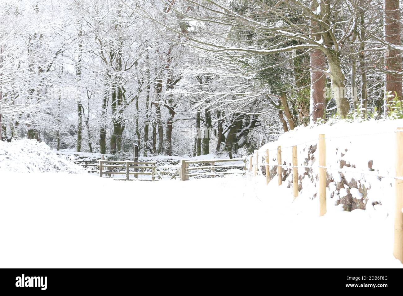 GATE AND FENCE IN SNOW SCENE Stock Photo - Alamy