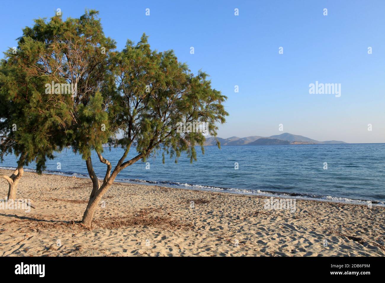 Greece. Kos island. Tigaki beach Stock Photo - Alamy