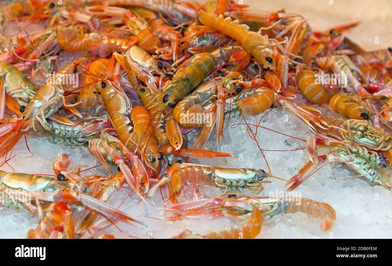 Red Crawfish shrimp is displayed in a supermarket Stock Photo - Alamy