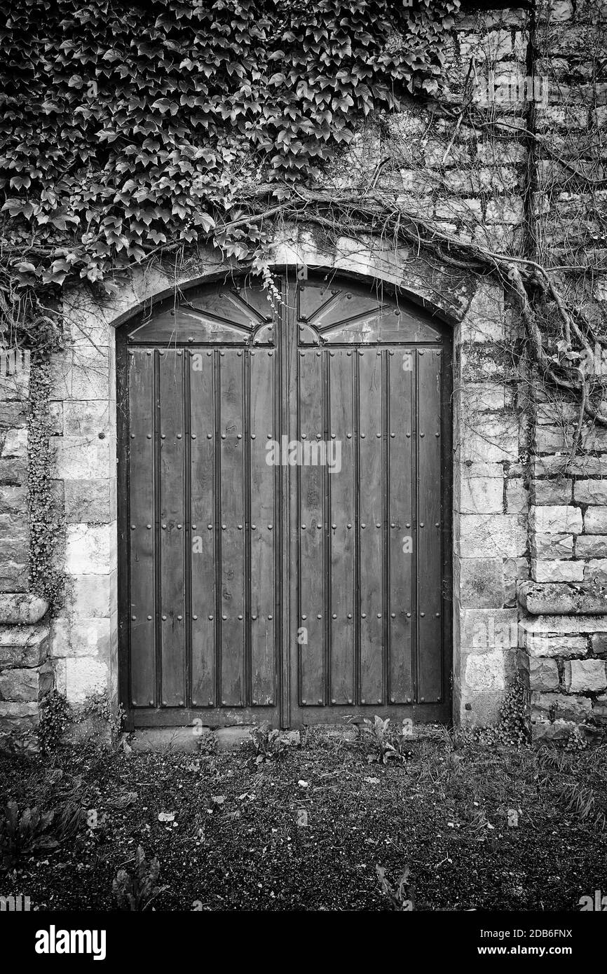 Old abandoned wooden door, detail of an old door rural abandonment and ...