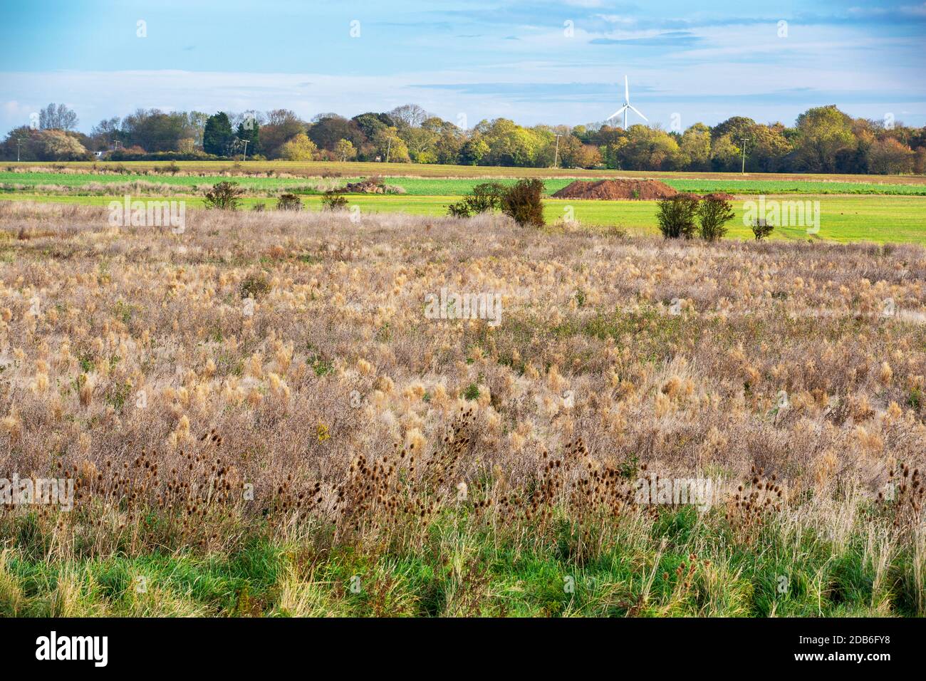 Humber estuary birds hi-res stock photography and images - Alamy