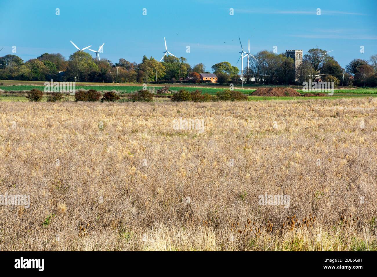 Wildlife friendly setaside habitat with wild flowers providing food for ...